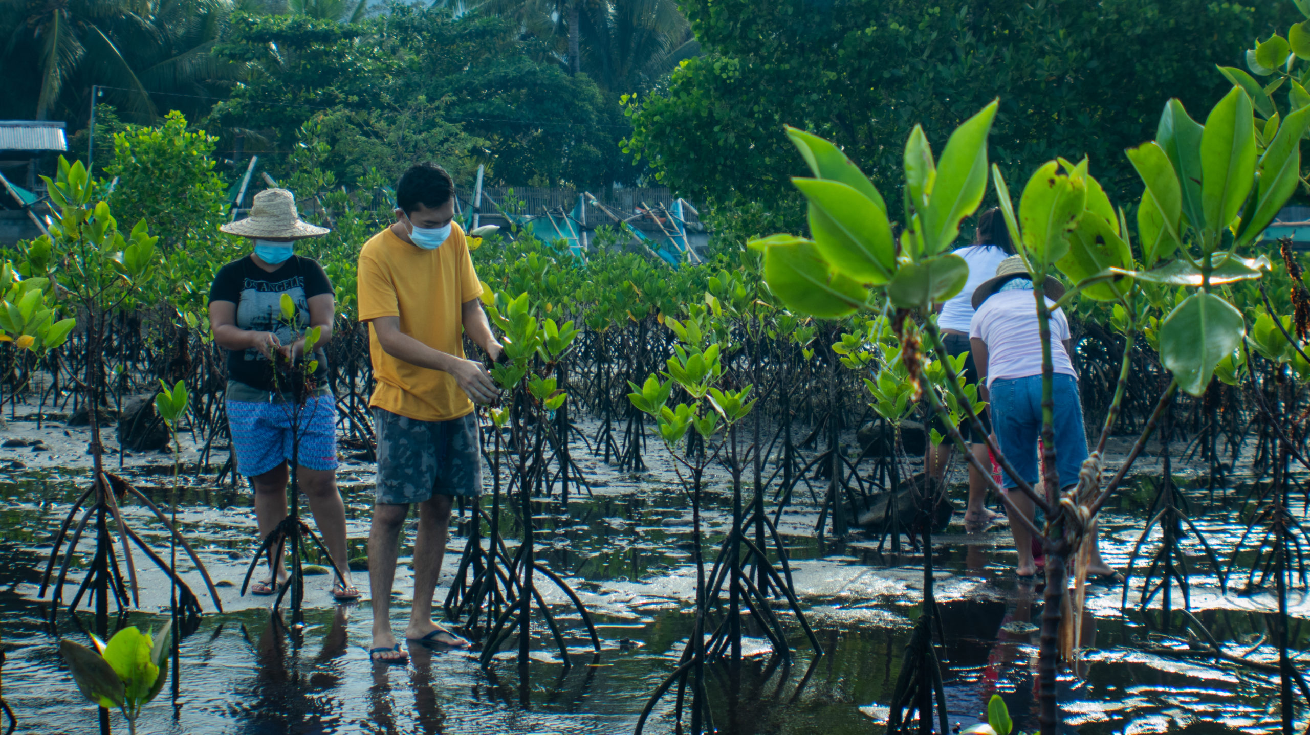 The end and the beginning of the Restoration Stewards Program ...