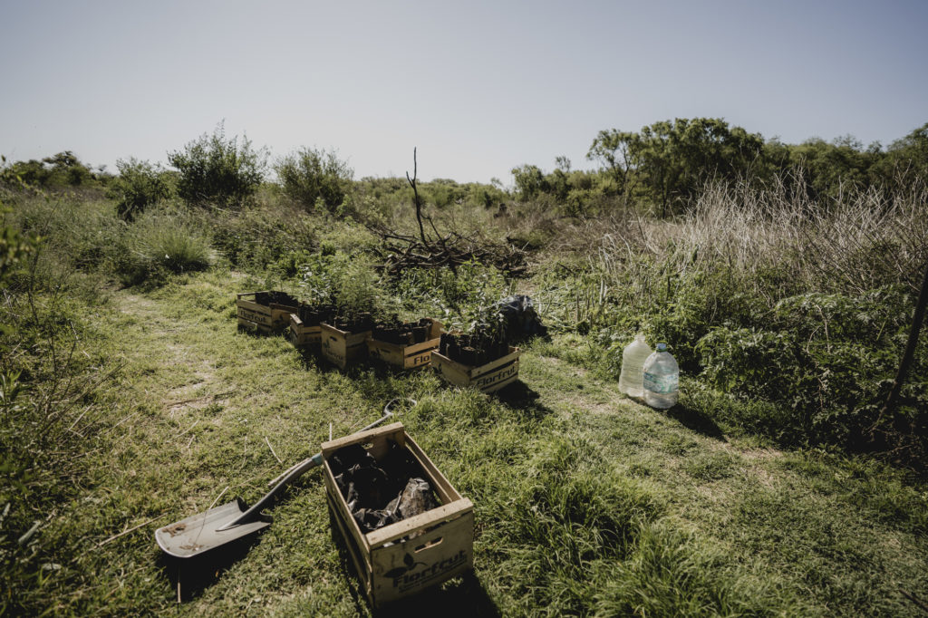 How did the Restoration Stewards Program impact and change the Monte ...