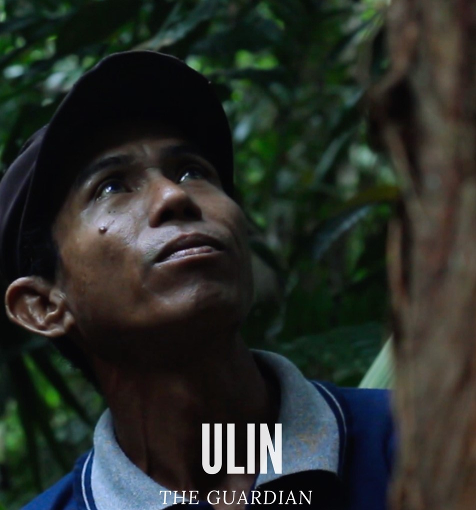 [Documentary] Ulin: The Guardian - Restoration Stewards by Global ...