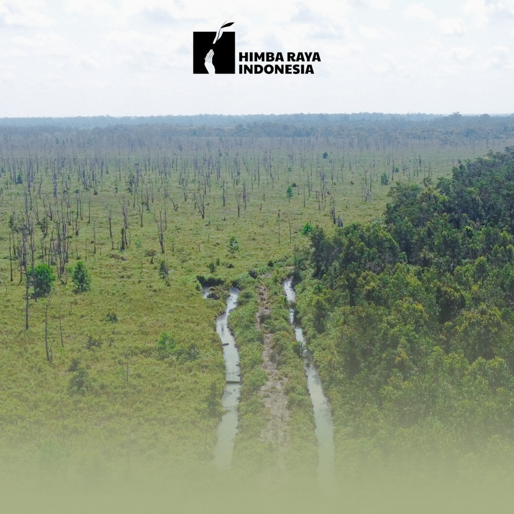 A visit to the HIRAI project landscape in Central Kalimantan ...