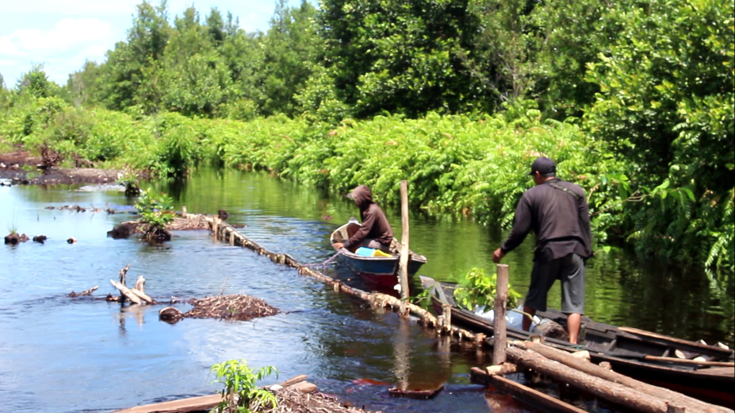 Bringing the dream to life - Restoration Stewards by Global Landscapes ...