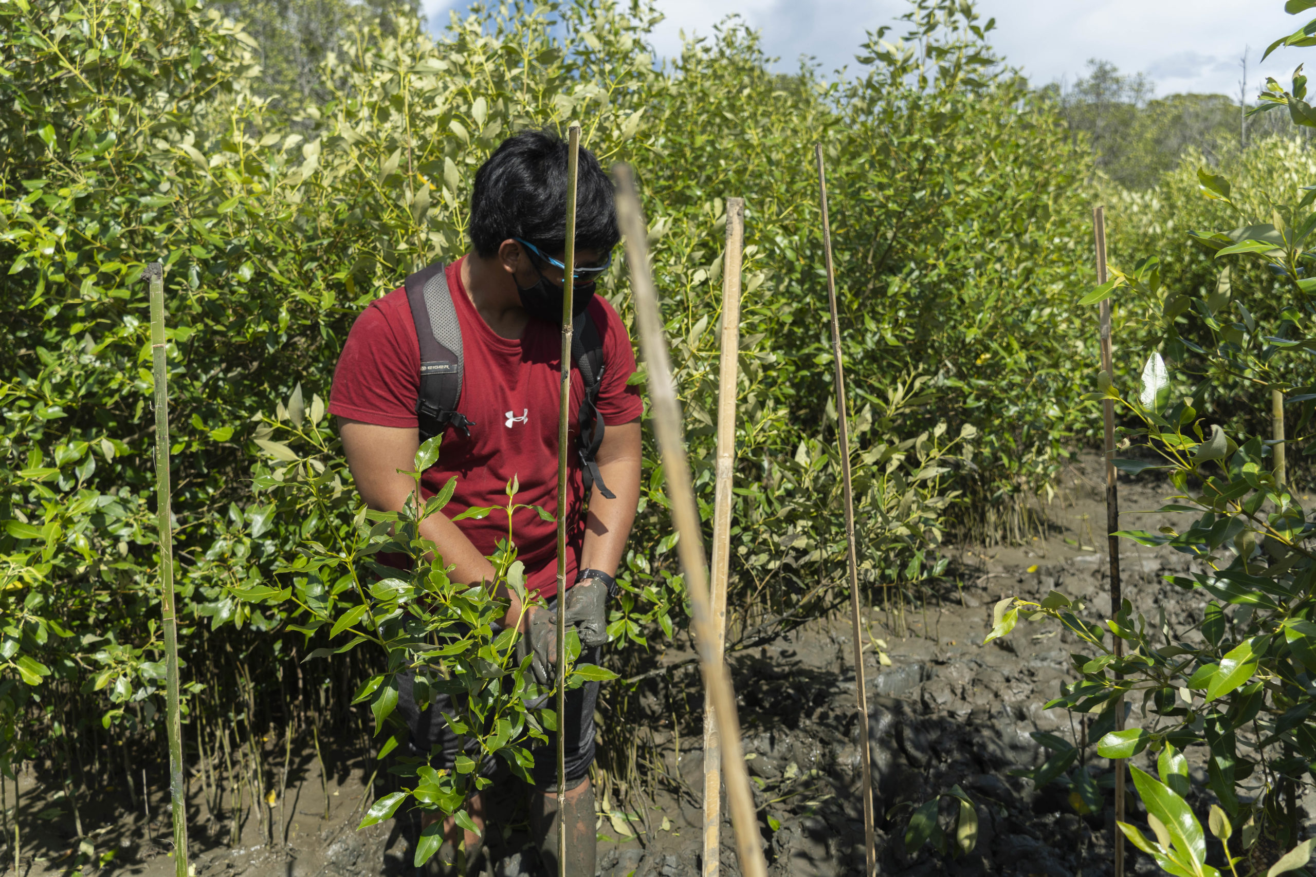Pongo-dopsi: Working with local communities to preserve coastal areas ...