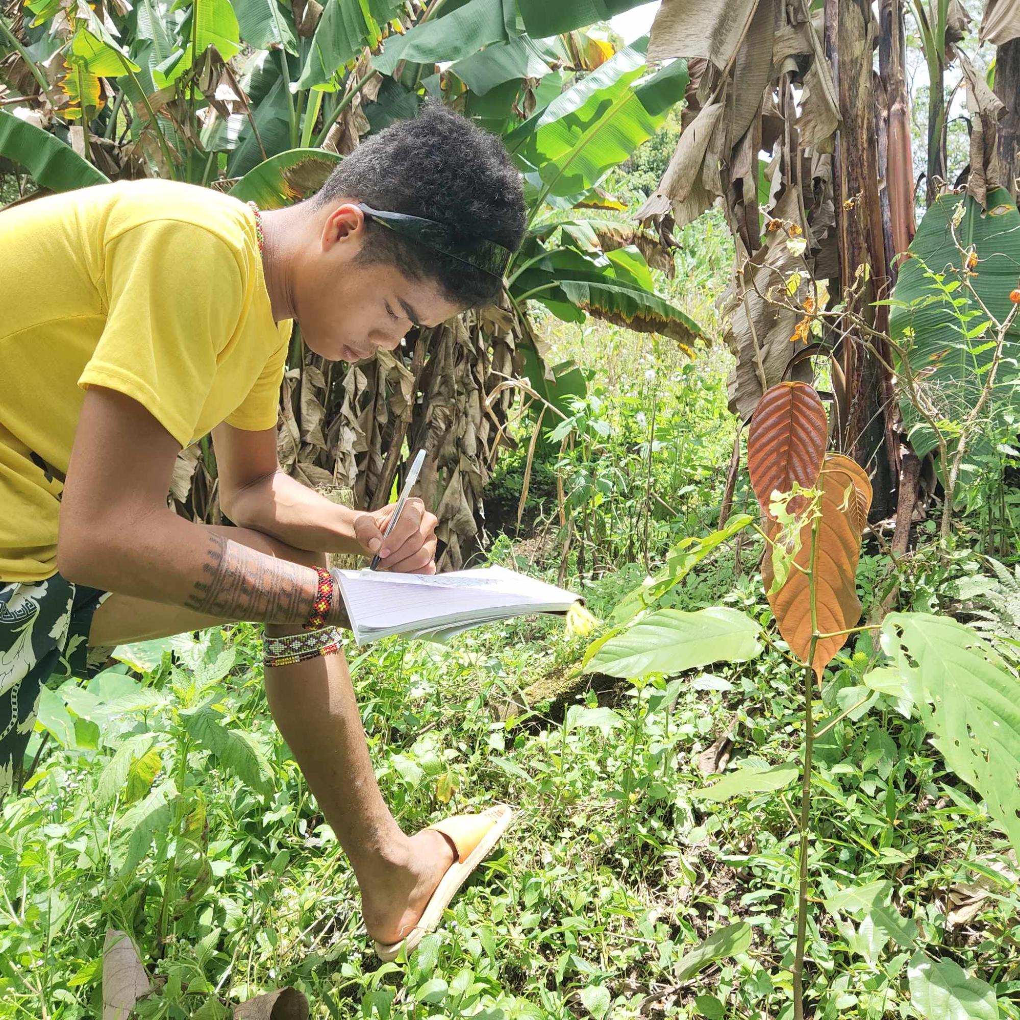 How community mapping inspires local participation in forest restoration