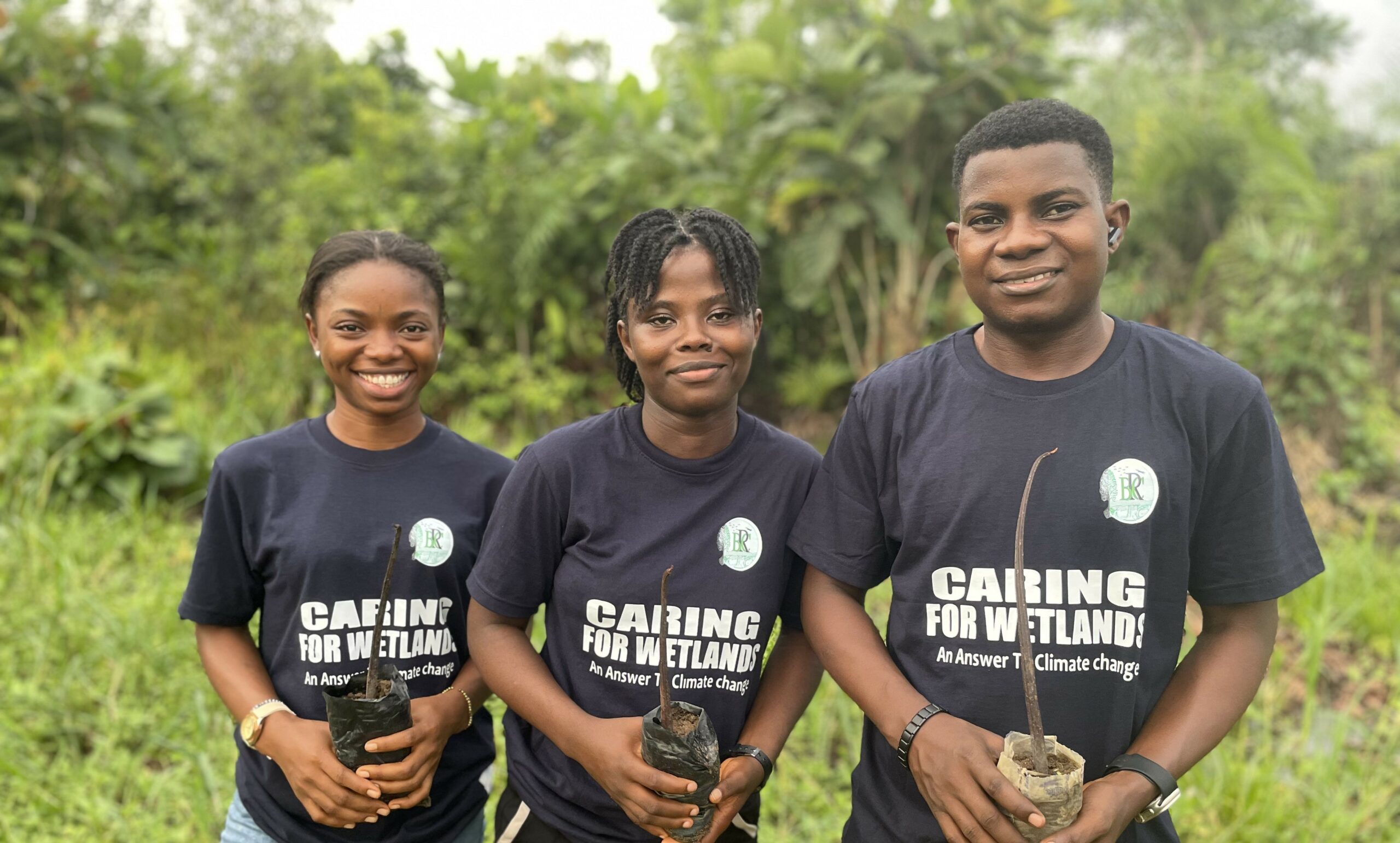 The roots of restoration: My journey into the heart of mangroves in ...