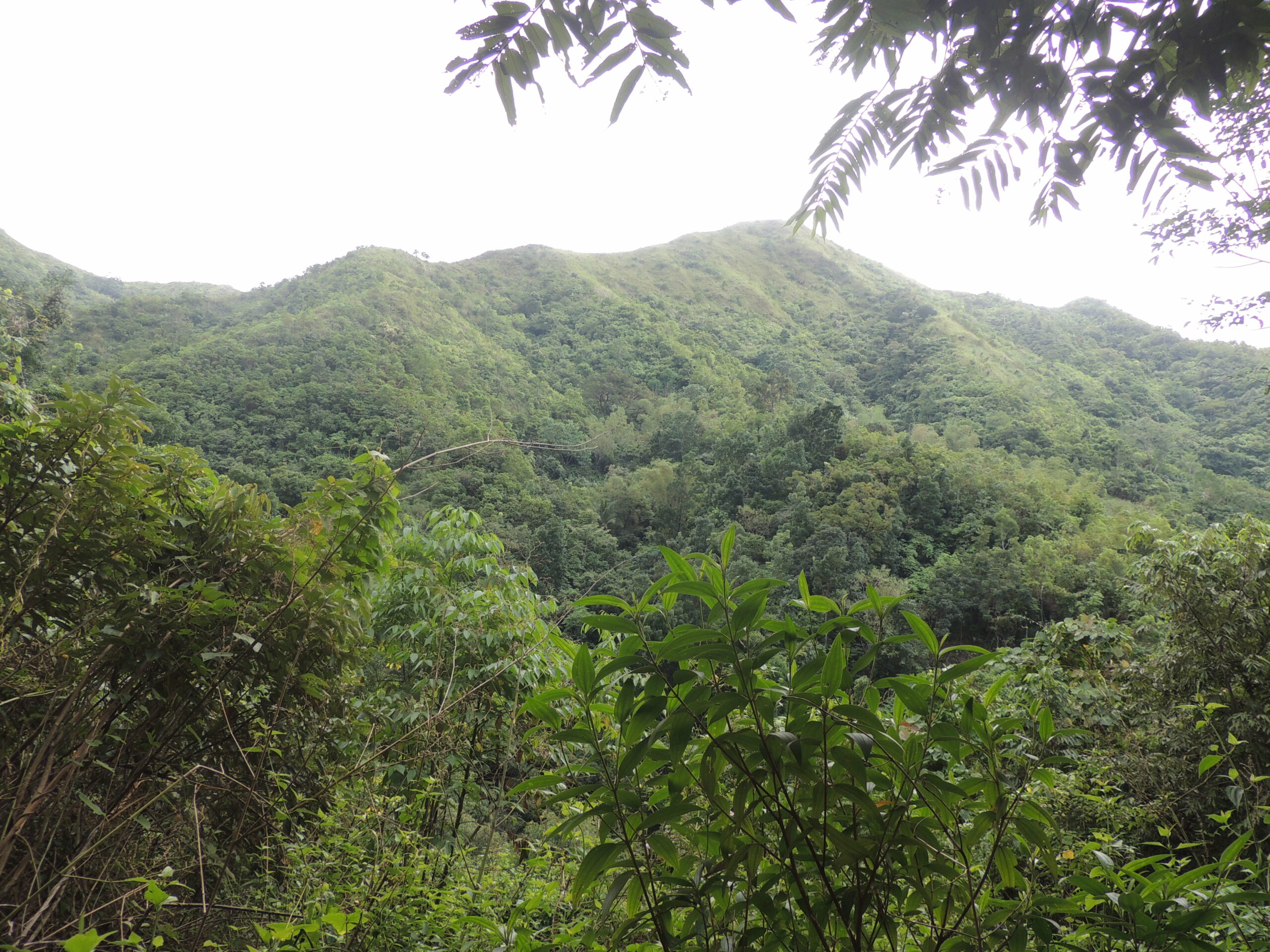 Rewriting the story: reclaiming stewardship through community-led ...