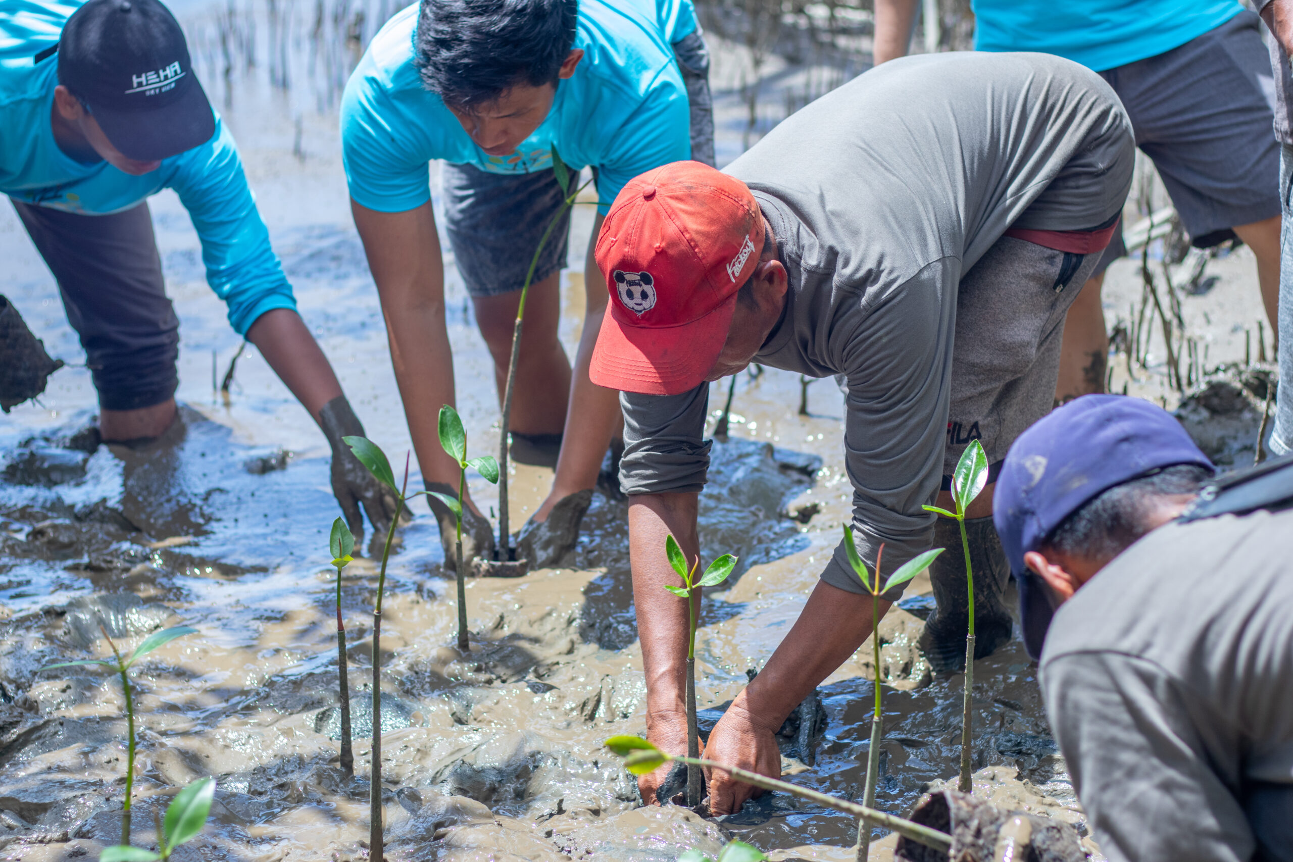 Creating jobs through mangrove restoration - Restoration Stewards by ...