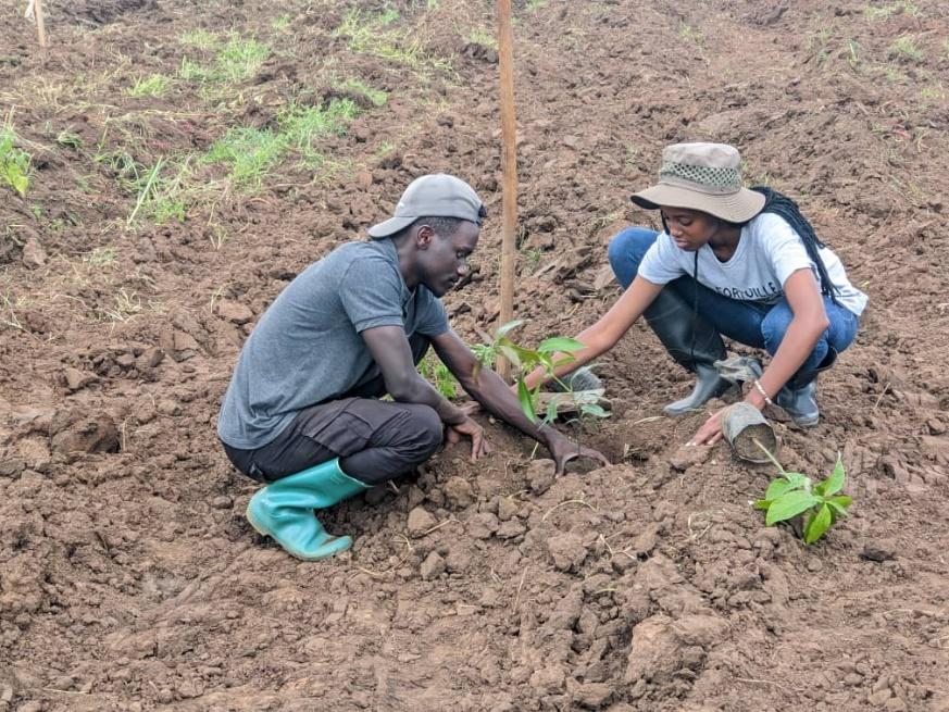 From grasslands to green havens: Restoring drylands in Kayovu, Bugesera ...
