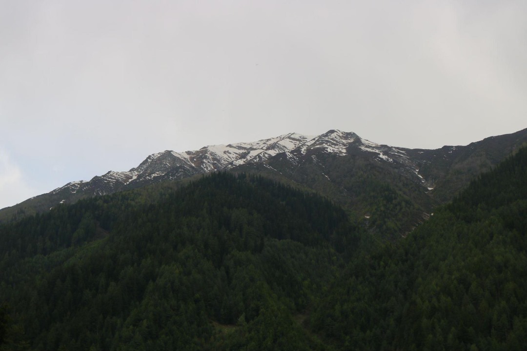 A story of hope: The Himalayan community who saved their own future ...